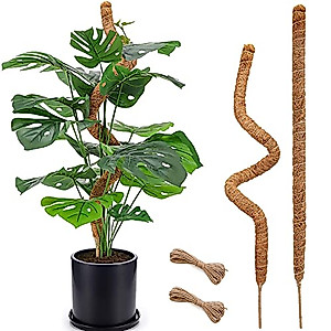 2 Pack Moss Pole, 28 Inch Bendable Moss Pole for Plants Monstera, Moss Poles for Climbing Plants Indoor, Coir Plant Pole Sticks Support Stakes for Potted Plants, Pothos, Philodendron