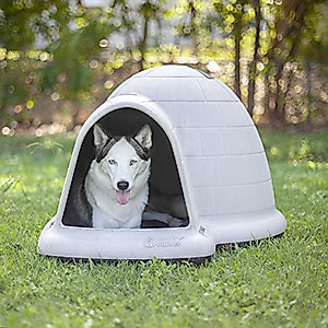 Petmate Indigo Dog House (Igloo Dog House, Made in USA with 90% Recycled Materials, All-Weather Protection Pet Shelter) for Large Dogs 50 to 90 pounds