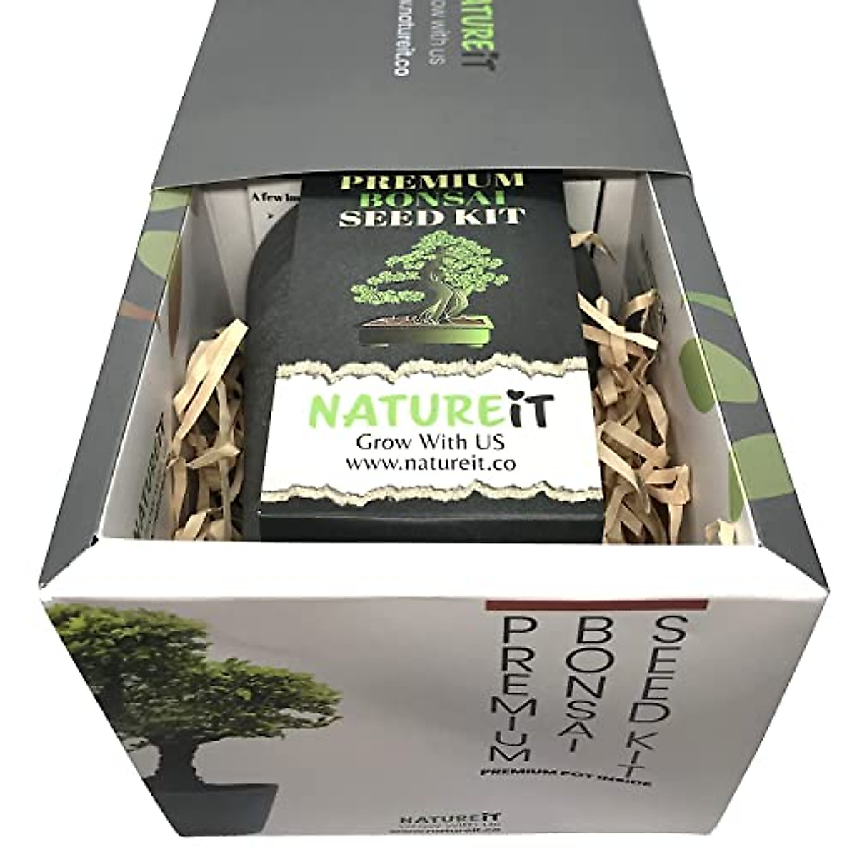 Bonsai Tree Seed Starter Kit. Bonsai Pot Included. Indoor & Outdoor DIY Beginners Easy Grow Craft & Hobby Gardening Set for Women & Men of All Ages. Unusual Housewarming Gift for Plant Lovers