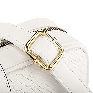 Small Crossbody Bags for Women White Purse Cross Body Handbags Stylish Designer Purses Evening Bag Vagan Leather Shoulder Bag with Tassel