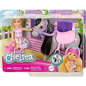Barbie Chelsea & Pony Doll & Pony