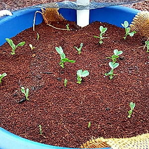 Anothera 13.8 Gallons Coco Coir Brick for Plants- 6 Pack Premium 100% Organic Peat Moss Mix with Low EC & pH Balance, Fiber Coconut Husk for Planting, Gardening, Potting Soil Substrate(8.4 Pounds)