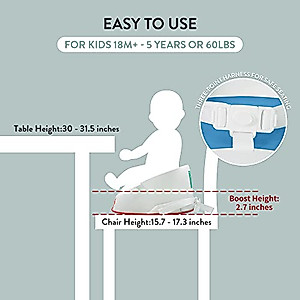 Prince Lionheart Squish Booster Seat, Berry Blue, 3-Point Harness and Dual-Strap System, Easy to Wipe Clean, and Lightweight
