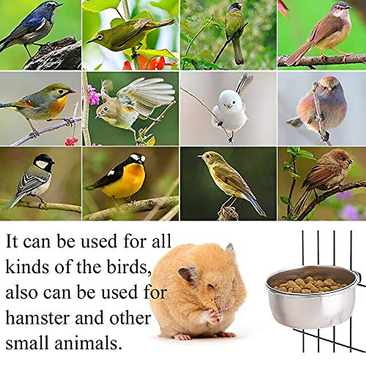 kathson 2 Pack Bird Feeding Cups with Clamp Holder, Parrot Food & Water Cage Hanging Bowl Stainless Steel Coop Cup Dish Feeder for Parakeet Cockatiels Conure Budgies Lovebird Finch