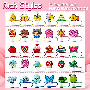 30 Pcs Different Random Straw Covers Cap,Cute Dust Proof Straw Toppers,Reusable Straw Covers Cap for Tumblers,10 mm Tumbler Cup Straw Accessories