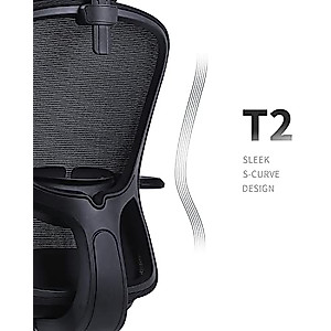 KARXAS Ergonomic Office Chair High Back Desk Chair with Adjustable Lumbar Support, Headrest & Armrest, Swivel Computer Task Chair (Black)