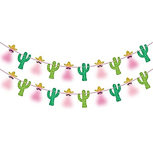 Pink Final Fiesta Banner Garland Cactus Banner for Mexican Fiesta Bachelorette Party Decorations