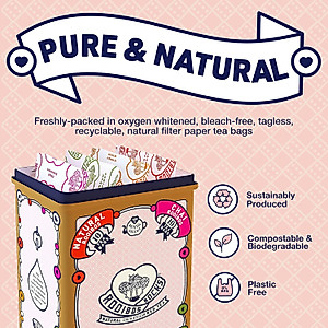 Vintage Rooibos Tea Tin 40 Variety Tea Bags Gift Set - 10 Tea Bags Each of our 4 Tea Varieties in a Nice, Ready-to-Gift Tin Can - Green & Red Rooibos Tea, Honeybush Tea & Chai Rooibos Tea Sampler Set