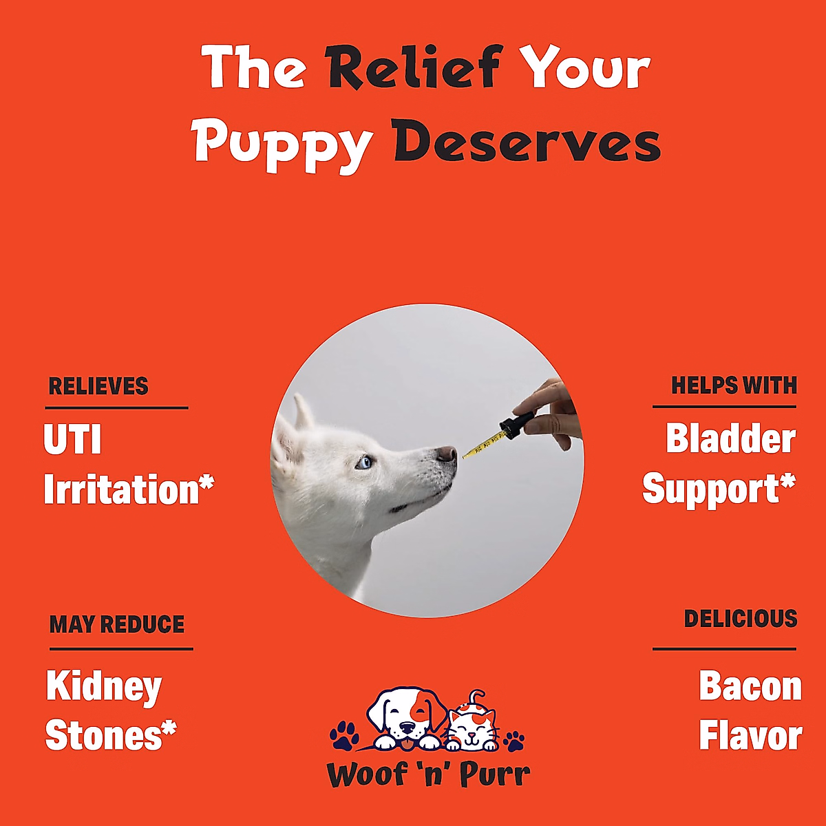 Cranberry Supplement for Dogs - Dog UTI Treatment - Dog Cranberry Supplement - Cranberry for Dogs - Dog UTI Cranberry - Dog UTI - UTI Treatment for Dogs - UTI Dogs - 1 fl oz - Bacon Flavor