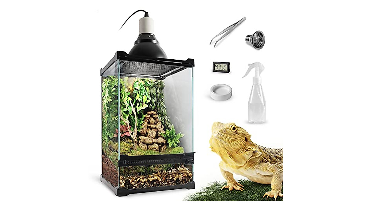 Reptile Tall Glass Terrarium Kit - Perfect Habitat for Small Reptiles