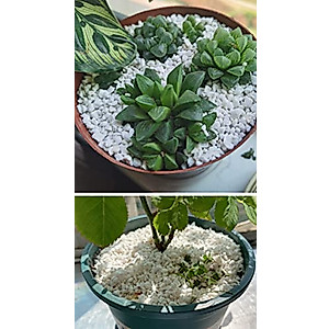 Organic Perlite Horticultural Soil Amendment for Plants and Enhanced Drainage Enhanced Growth (7 Quarts)