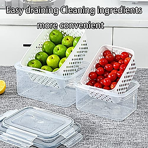 Topifare 6 Pack Fruit Storage Containers for Fridge with Strainer and Lids Fruit Containers for Fridge for Vegetable Storage, Fresh Fruits, Salad