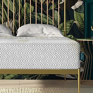 Leesa Legend Hybrid 12" Mattress, Queen Size Luxury Dual Hybrid/CertiPUR-US Certified/with Organic Cotton Mattress Cover / 100-Night Trial