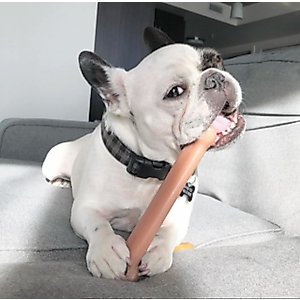 Nylabone Power Chew Classic Bone Chew Toy for Dogs, Durable Dog Toys for Aggressive Chewers, Bacon Flavor, Large/Giant - Up to 50 lbs. (1 Count)