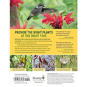 100 Plants to Feed the Birds: Turn Your Home Garden into a Healthy Bird Habitat