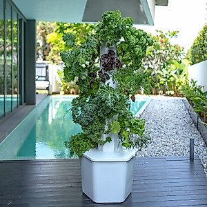 Aerospring Standard Outdoor Vertical Hydroponic Growing System Kit, Grow 27 Large Lettuce, Vegetables, Herbs, Fruit | 20 Gallon Water Tank, 20' Pump Cable, Smart WiFi Timer | Easy Assembly & Use