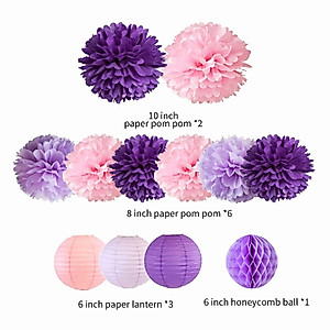 29 PCS Pink and Purple Party Decorations Set, Tissue Paper Pom Poms Paper Lanterns Honeycomb Balls Circle Dots Garland Butterfly Hanging Swirl Butterfly Decorations for Bridal Showers