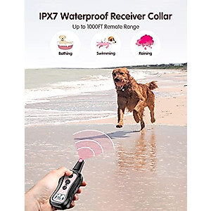 PATPET Dog Training Collar with Remote(8-100 lbs), Rechargeable Shock Collar for Medium Dogs, Up to 1000 ft Remote Range IPX7 Waterproof Dog Shock Collar