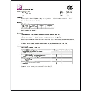 GottaHaveit Solar Eclipse Glasses Flag 5 Pack