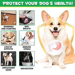 Probiotics for Dogs, 180 Chews Dog Probiotics and Digestive Enzymes, Promotes Gut Health, Dog Probiotics for Bowel Support, Immunity Health