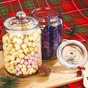 XPCARE Glass Jars for Laundry Room Organization Jars 0.5 Half Gallon Laundry Storage Glass Containers with Labels Organization with Lid for Laundry Detergent Laundry Pods Container, 1 Jars