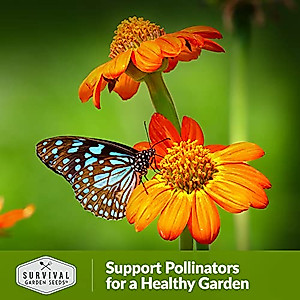 Survival Garden Seeds - Mix of Popular Sunflower Seeds for Planting - Packet with Instructions to Plant and Grow Beautiful Flowers in Your Home Vegetable or Flower Garden - Non-GMO Heirloom Varieties