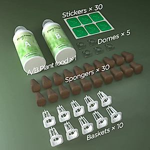 LetPot 77 Pcs Seed Pod Kits, Square Grow Anything Kit for Hydroponics, with 2 A&B Nutrient Plant Foods and 30 Sponges, 5 Domes, 10 Baskets, 30 Stickers, Compatible with LetPot Mini, YOOCAA, QYO, LYKO