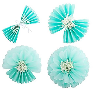 Fonder Mols Paper Flowers Decorations Tissue Pom Poms Blooms for Wall Decorations, Wedding Backdrop, Archway, Baby Shower, Nursery Wall Decor (Set of 21, Ivory Peach Mint)