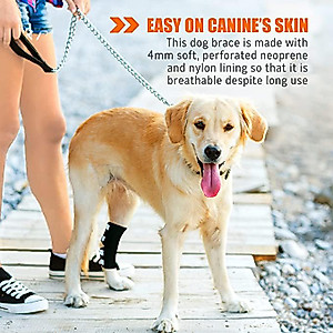 NeoAlly Dog Rear Leg (One Leg) Hock Brace, Canine Leg Wrap for Hind Leg, Ideal Hock & Ankle Support and Protection for Sprain Recovery, Achilles Tendon Injury (Extra Large (Left Leg))