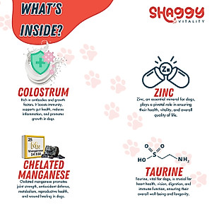 ShaggyVita Dog Vitamins and Supplements 9 in 1 for Immune System, Skin & Coat, All Ages - Dog Skin and Coat Supplement - Dog Supplements & Vitamins - Multivitamin for Dogs - Dog Vitamins Multivitamin