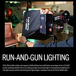 Aputure LS 60 Softbox for Aputure LS 60D and Aputure LS 60X Led Video Light,45° Light Control Grid
