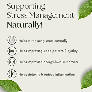 Ashwagandha Tablets - Muscle Strength & Vitality | Stress Relief | Ayurvedic Medicine for Stamina & Performance and Better Sleep, 60 Tablets 500mg