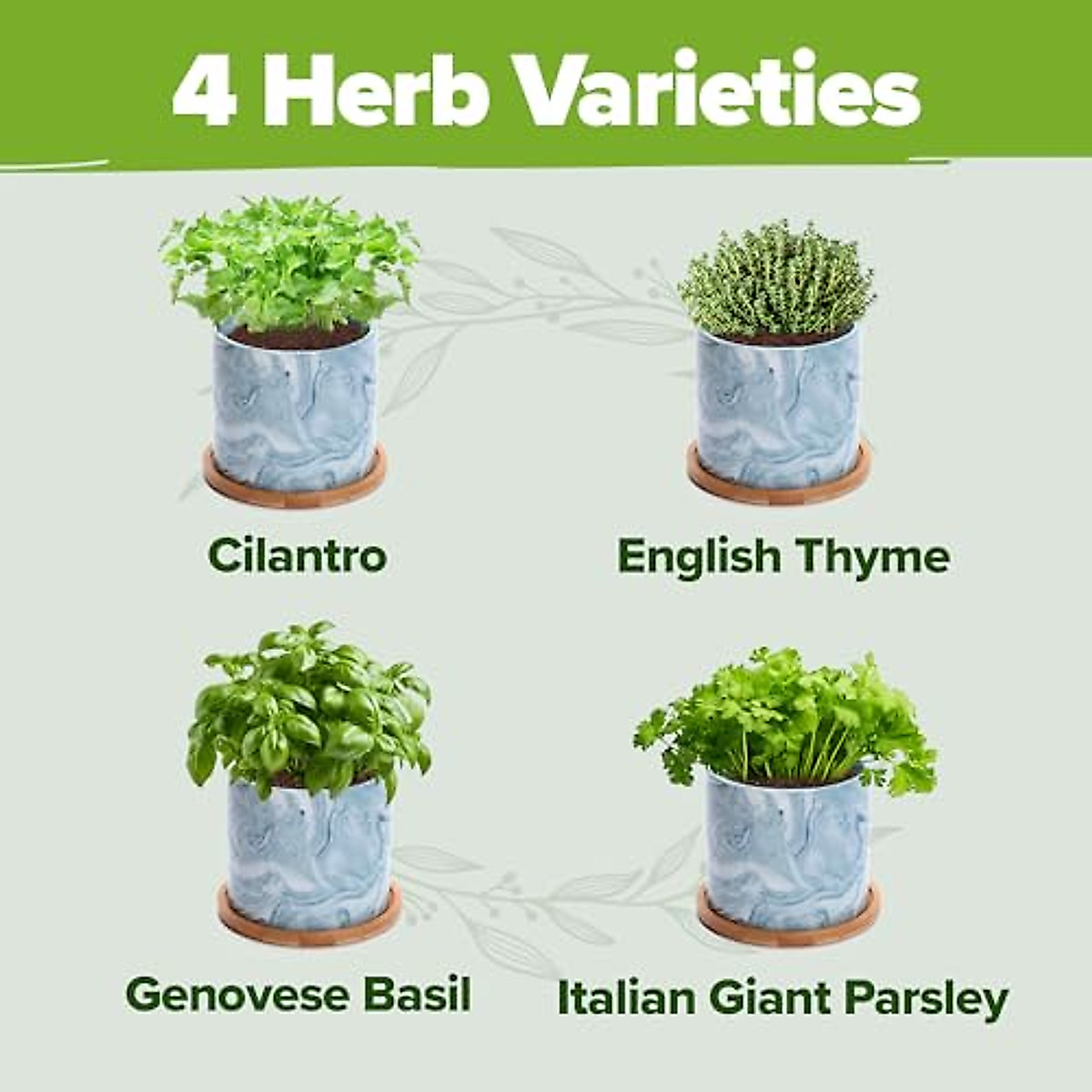 4 Herb Garden Starter Kit Indoor: Complete Grow Kit w/Deluxe Ceramic Pots & Soil - DIY Herb Seeds to Plant, Window Garden Home Growing Kit - Best Plant Gifts for Women, Unique Gifts for Cooks