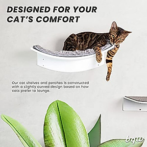 bqw Floating Cat Shelf Wall Mounted Cat Bed Furniture Climbing Wall for Cat Perching Sleeping Lounging with 2 Steps (Curved)