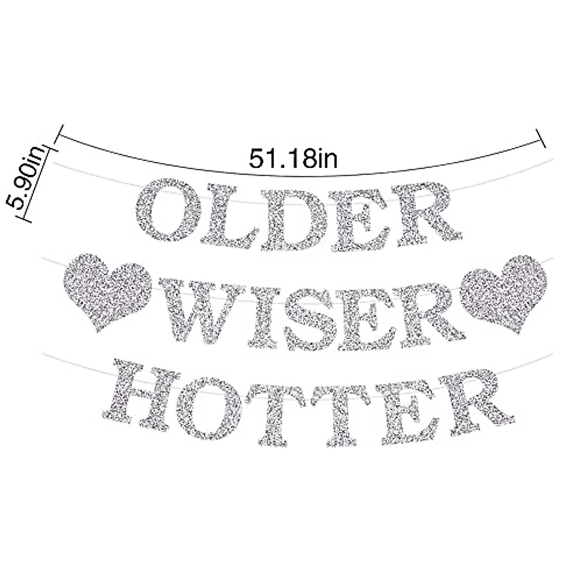 PALASASA Silver Glitter Older Wiser Hotter Banner - Funny 30th 40th 50h 60th 70th 80th Birthday Party Decorations