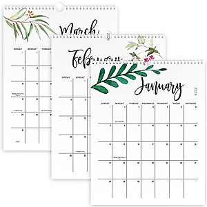 Aesthetic Floral 2024 Wall Calendar - Runs from June 2023 Until December 2024 - The Perfect 2023-24 Monthly Calendar for Easy Planning