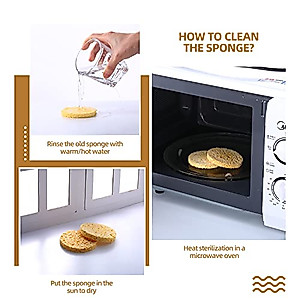 12 Pieces Hermit Crab Sponges Pet Crab Sea Sponges Unbleached Hermit Crab Supplies Sponge Provide Nutrients Crab Sponges Hermit Crab Accessories for Maintaining Hermit Crab Tank Humidity Supplies