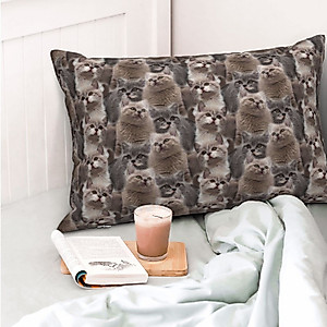 Bed Pillow Protector Zippered Camo-Kitty-Cute-Shorthair-Cat Soft Pillow Case Cover 20x30 Inches