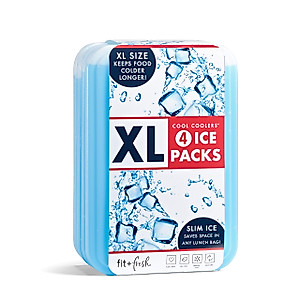 CleverMade Collapsible Cooler Bag with Shoulder Strap: Insulated Leakproof 30 Can Portable Soft Beverage Tote & Fit & Fresh XL Cool Coolers Freezer Slim Ice Pack for Lunch Box, Set of 4, Large, Blue