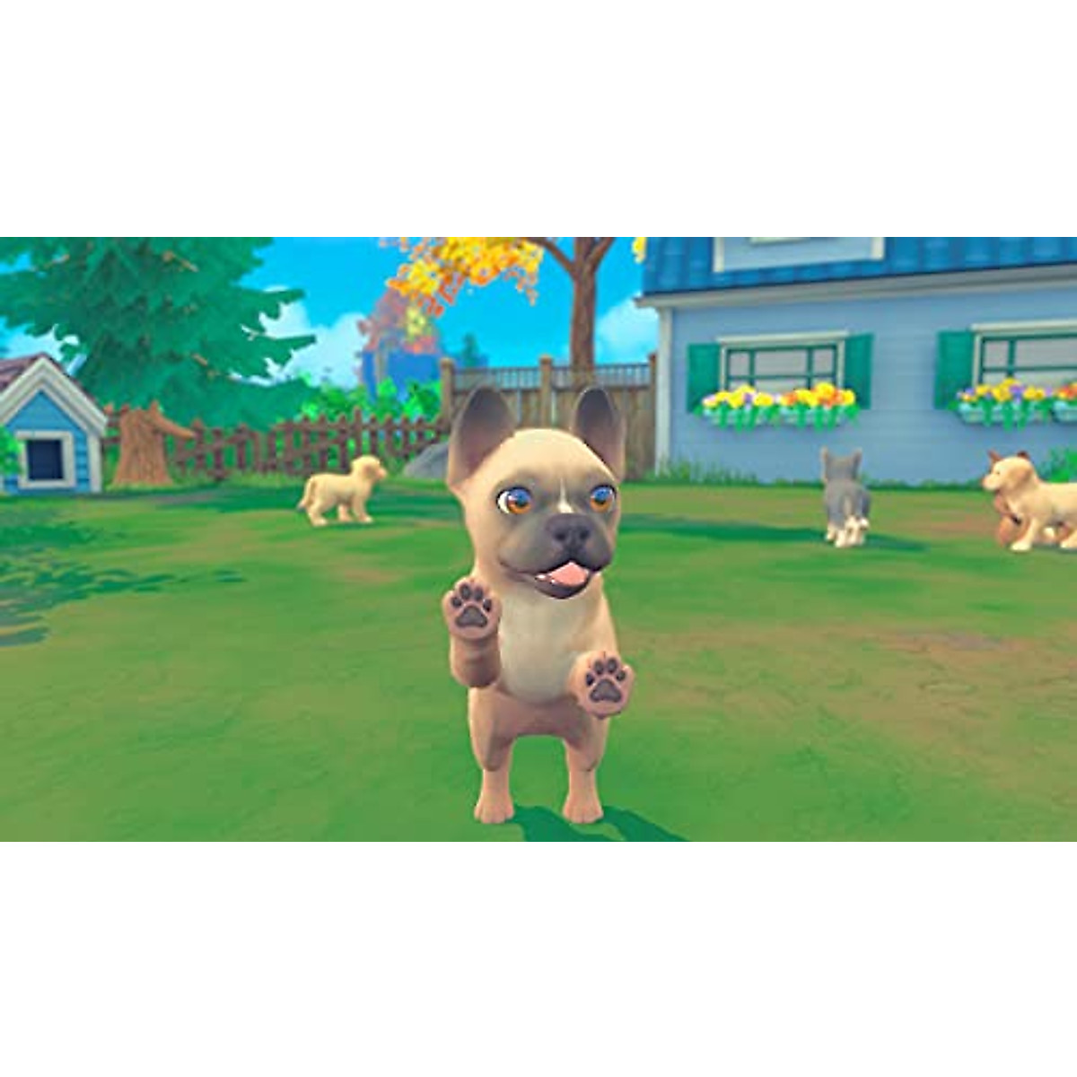 My Universe: Puppies and Kittens Nintendo Switch