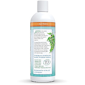 Auromere Ayurvedic Shampoo, Neem + 5 - Vegan, Cruelty Free, Non-GMO, Natural, Gluten Free, Sulfate Free, Paraben Free for Normal to Oily Hair (16 fl oz), 1 Pack