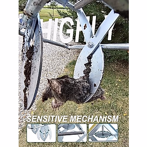 Mole Trap Scissor 2 Pack, Upgraded Mole Traps for Lawns That Kill Best, Galvanized Steel Mole Killer, Easy Step Setup