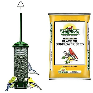Squirrel Buster Mini Squirrel-Proof Bird Feeder w/4 Metal Perches, 0.98-Pound Seed Capacity & Wagner's 76027 Black Oil Sunflower Wild Bird Food, 25-Pound Bag