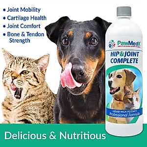 Liquid Glucosamine for All Dogs by Eniva | Hip, Joint, Bones & Teeth, Professional Extra Strength Liquid, Glucosamine, Chondroitin, MSM, Collagen, VIT C, Calcium, Antioxidants | USA Made– 32oz