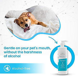 Oxydent Premium Pet Dental Care Solution - Pet Water Additive & Mouthwash for Teeth Cleaning - Eliminate Bad Dog & Cat Bad Breath - Dog Dental Rinse - Fights Tartar & Plaque