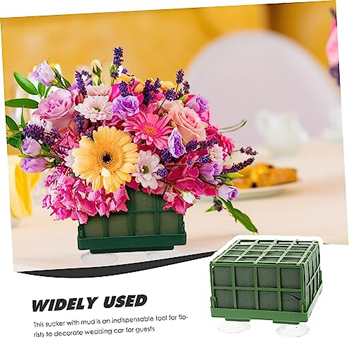 Abaodam 8 Pcs Flower Sucker Large Flower Cage Holder Flower Arrangement Foams Floral Decor Floral Foams Tray Flower Foam Cage Floral Foam Sausage Wedding Décor Sticker Flowers Plastic