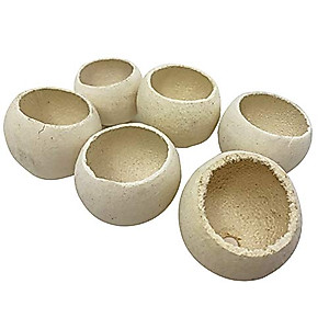 Bonka Bird Toys 3170 Pk6 Small Foraging Cup Bird Toy