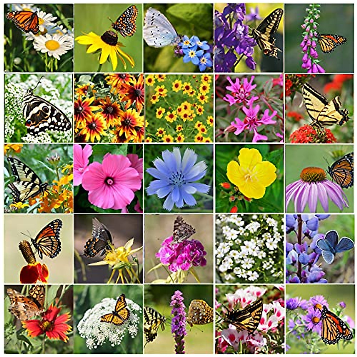 Perennial Wildflower Seeds Package with 25 Different Varieties 100,000 Seeds, Hummingbird and Butterfly Garden Seeds, Popular Perennial Flower Seeds, Non-GMO Wildflower Seeds Mix for Your Garden