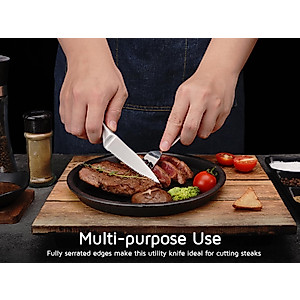 WELLSTAR Utility Knife, 4 Inch Serrated Paring Knife with Super Sharp High Carbon Stainless Steel Blade for Fruit Vegetable Cutting Peeling Slicing – Silver