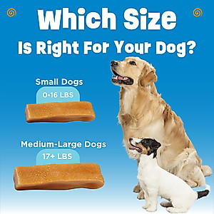 Dinovite YakoSnaks - Himalayan Yak Chews for Dogs - Long Lasting and Low Odor Yak Cheese Dog Chews (Small Dogs)